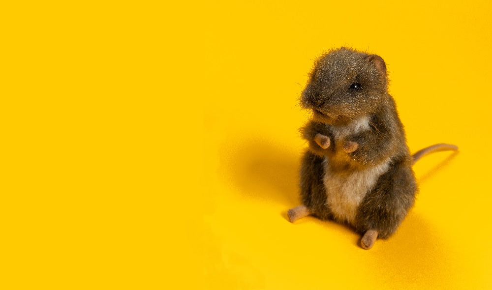 Henry Coles Rat Soft Toy